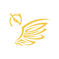 Funny Notebooks, Adult Notebook Gifts and Accessories | Owl Really ...